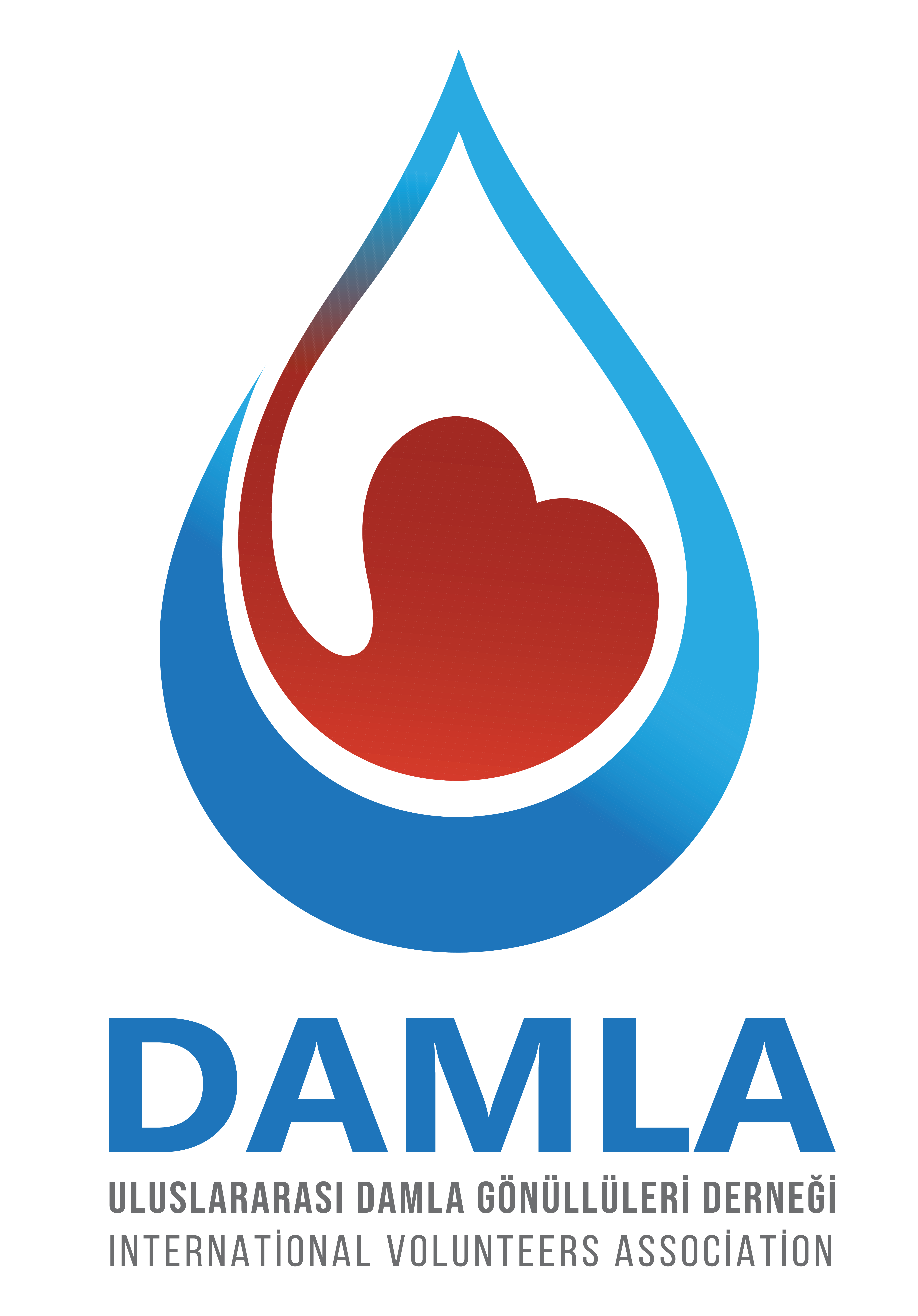 Damla Gümüşhane 1.Düşler Kütüphanesi Şenliği - Genç Gönüllüler