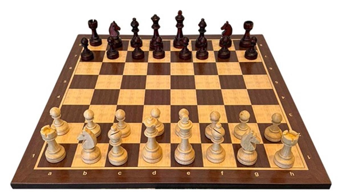 Gönüllü Santranç Eğitmeni - Gönüllüyüz BİZ